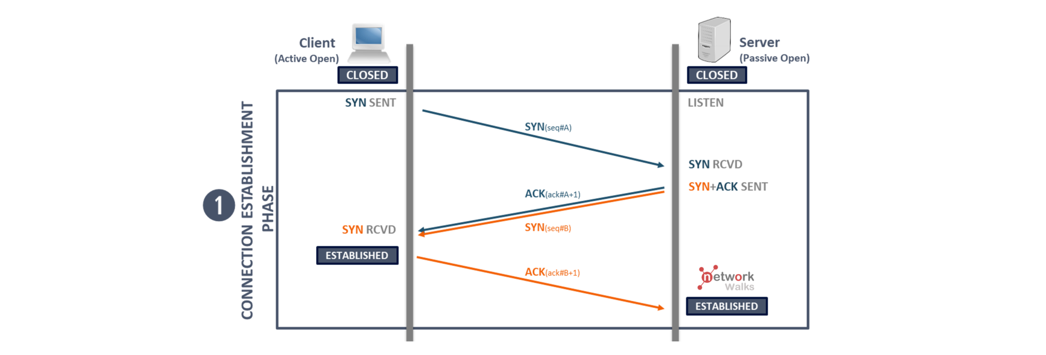 TCP 3-way Handshake Process - Networkwalks Academy